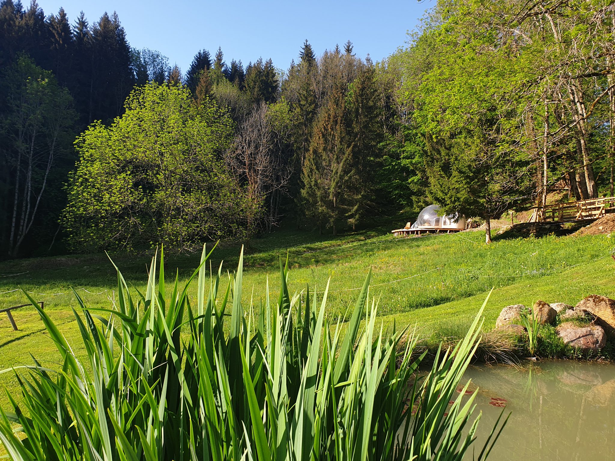 Actualités – Sur le Coux